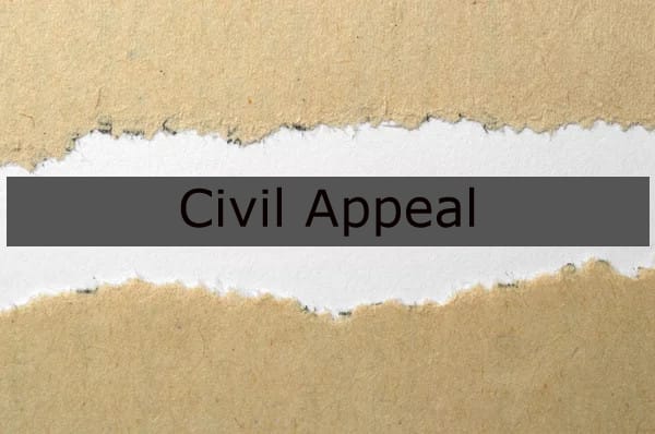 The Importance of Civil Appeals and Staying Monetary Judgments